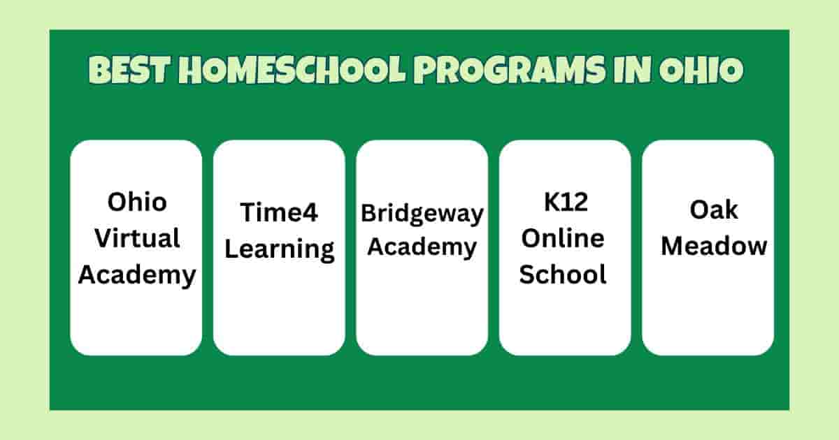 Best Homeschool Programs in Ohio: Top Picks for 2025